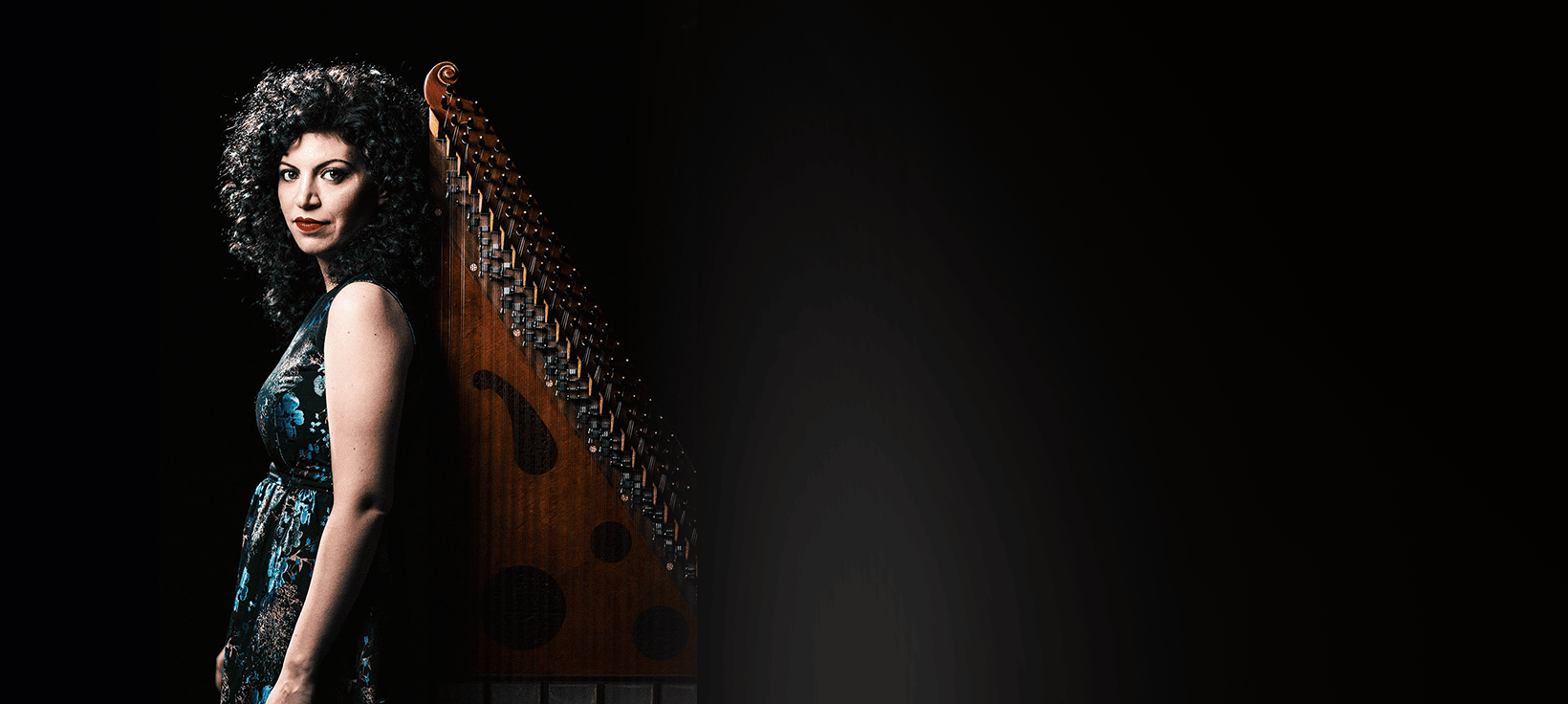 Qanun For Beginners Challenge